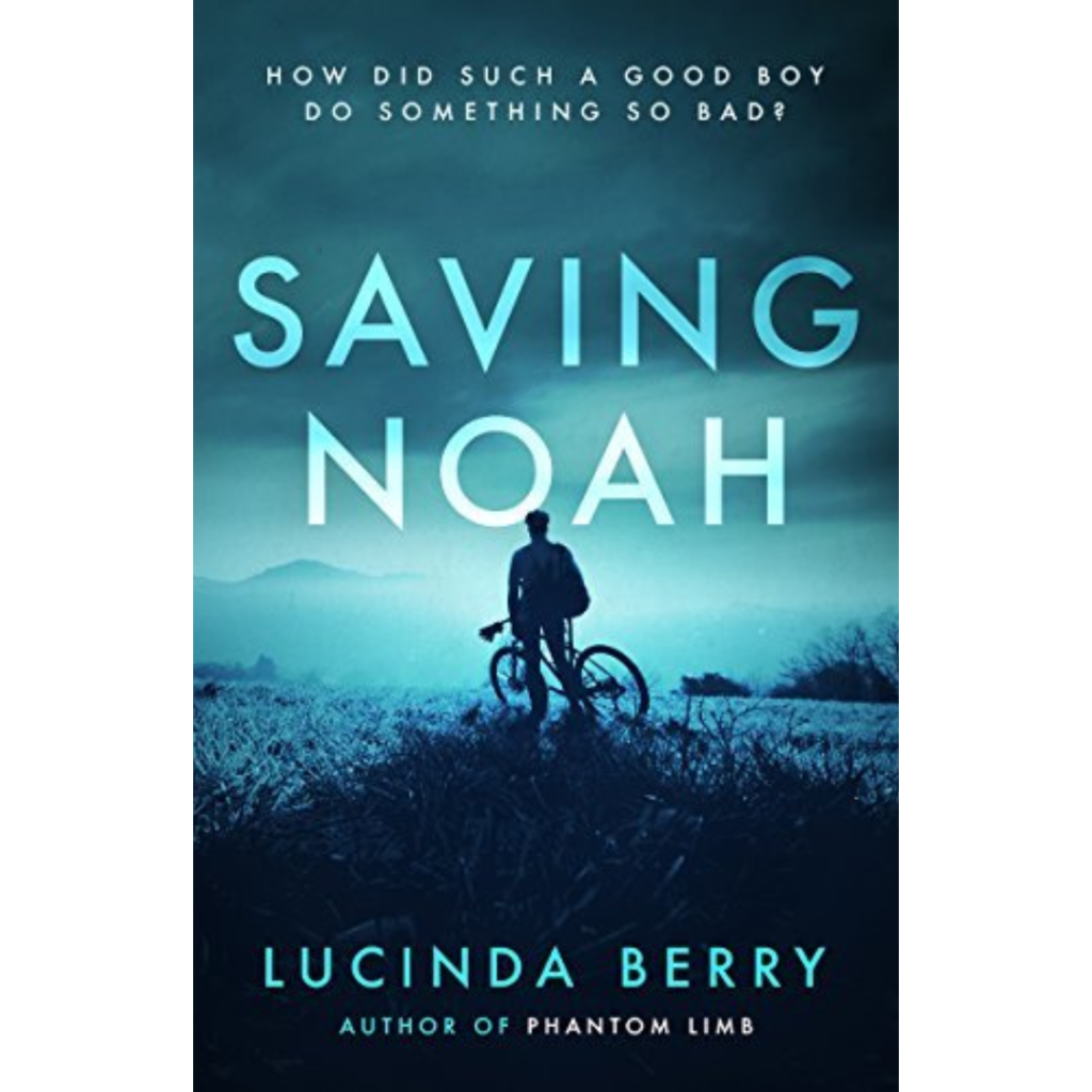 Saving Noah By Lucinda Berry Books World Uae 9599